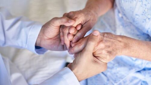 【スイスロールをスイス人は知らない！】日本で見つけてビックリ仰天 | dryukiネット