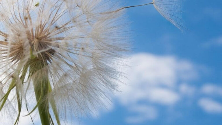 TBS報道特集「安楽死」を考える：スイス在住者の視聴感想とコメント | dryukiネット